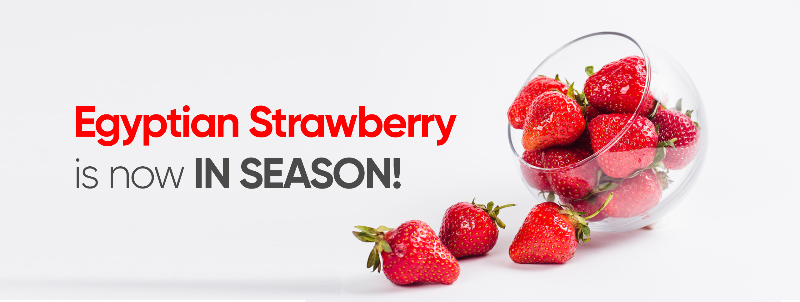 الرئيسية - Elaf International Trade & Industry