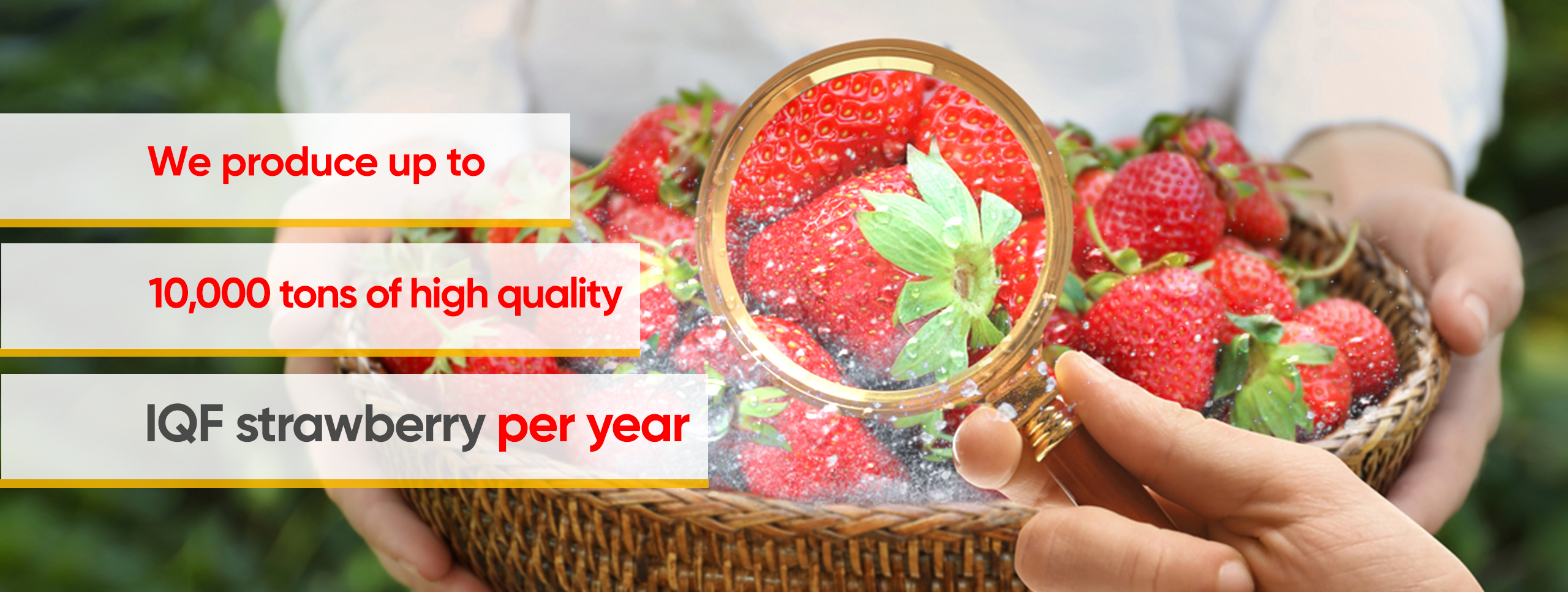 الرئيسية - Elaf International Trade & Industry