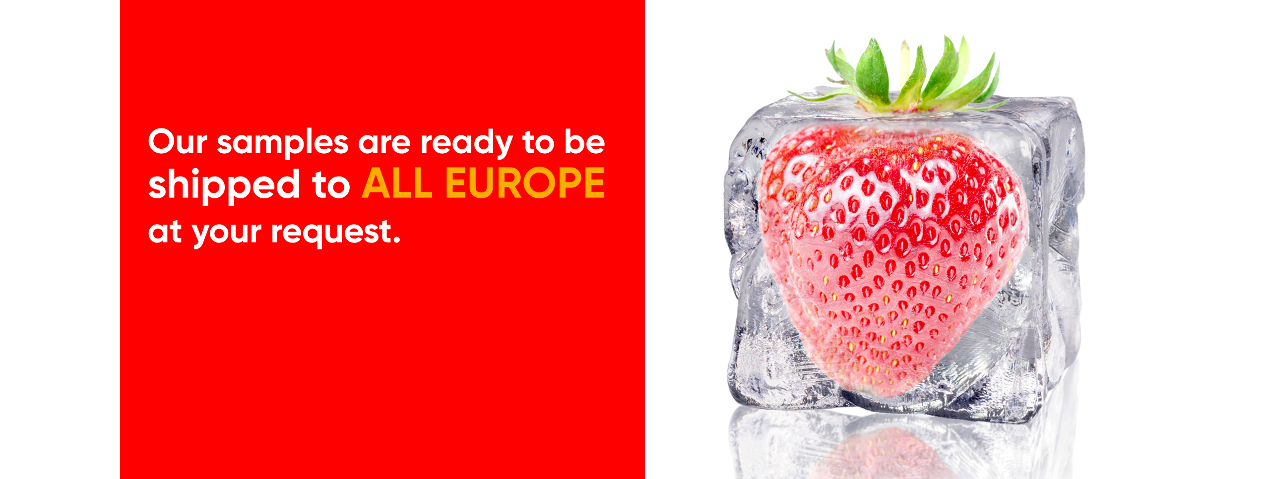 الرئيسية - Elaf International Trade & Industry